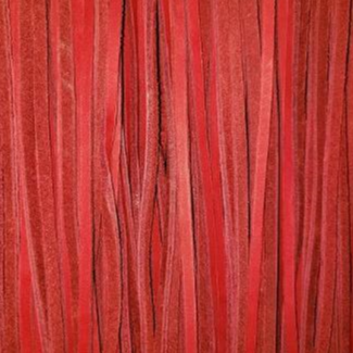 Professional Glove Lace (Bundles) – Apollo Sports Inc